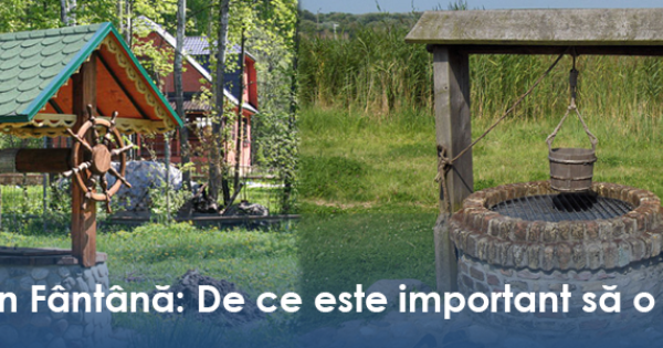 fintina -600x315h.png